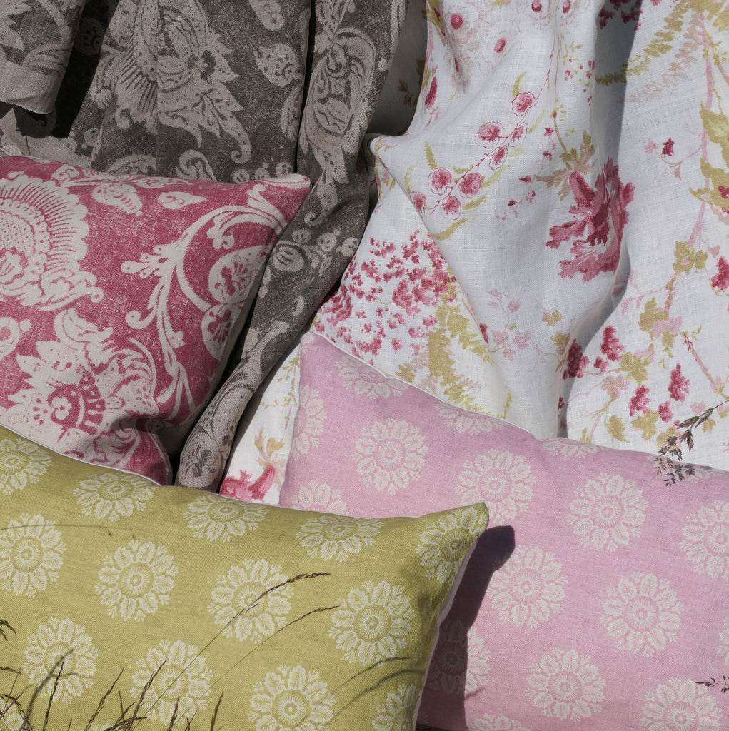 Dianthus Linen / Raspberry – Inchyra